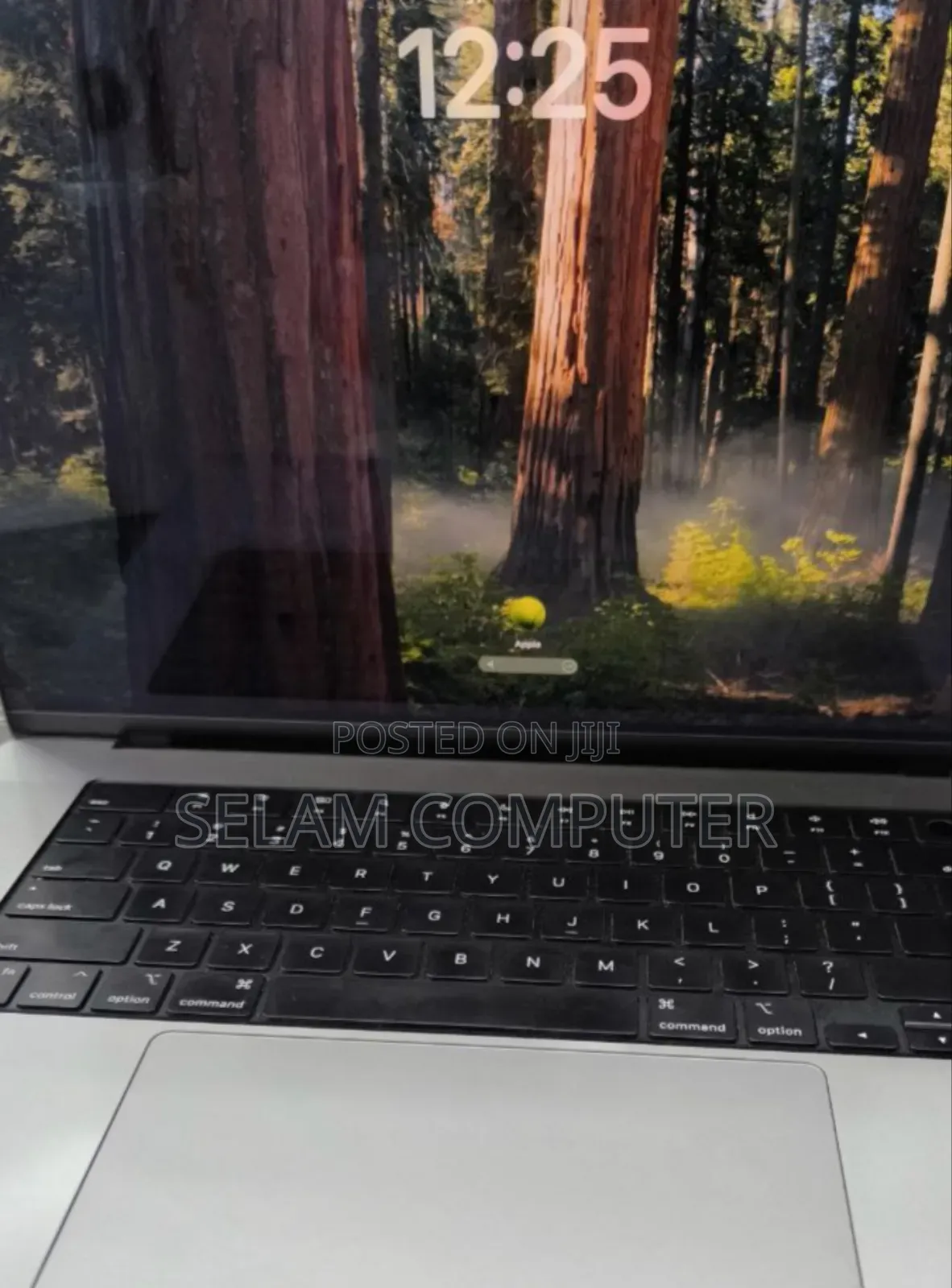 New Laptop Apple MacBook Pro 2024 M4 Max 16-Inch 64GB Apple M1 SSD 1T ...