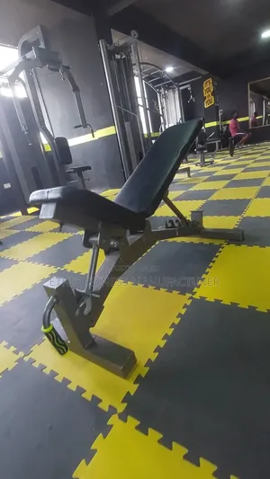 Multi-Use Adjustable Bench – 10+ Exercises in Bole - Sports Equipment ...