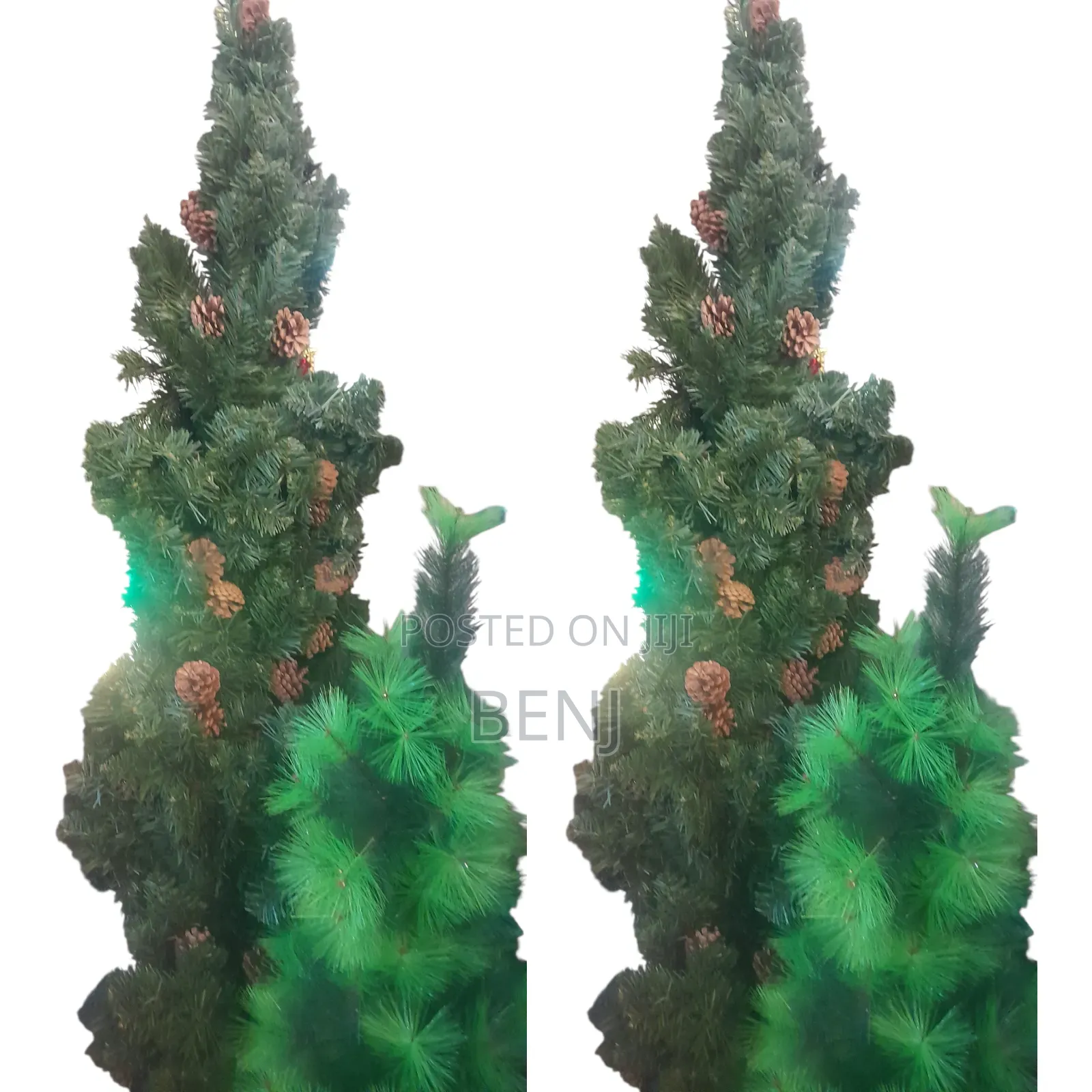 Christmas Trees 2.4 3 Meter | Spruce | Pine | Fir in Bole - Home ...