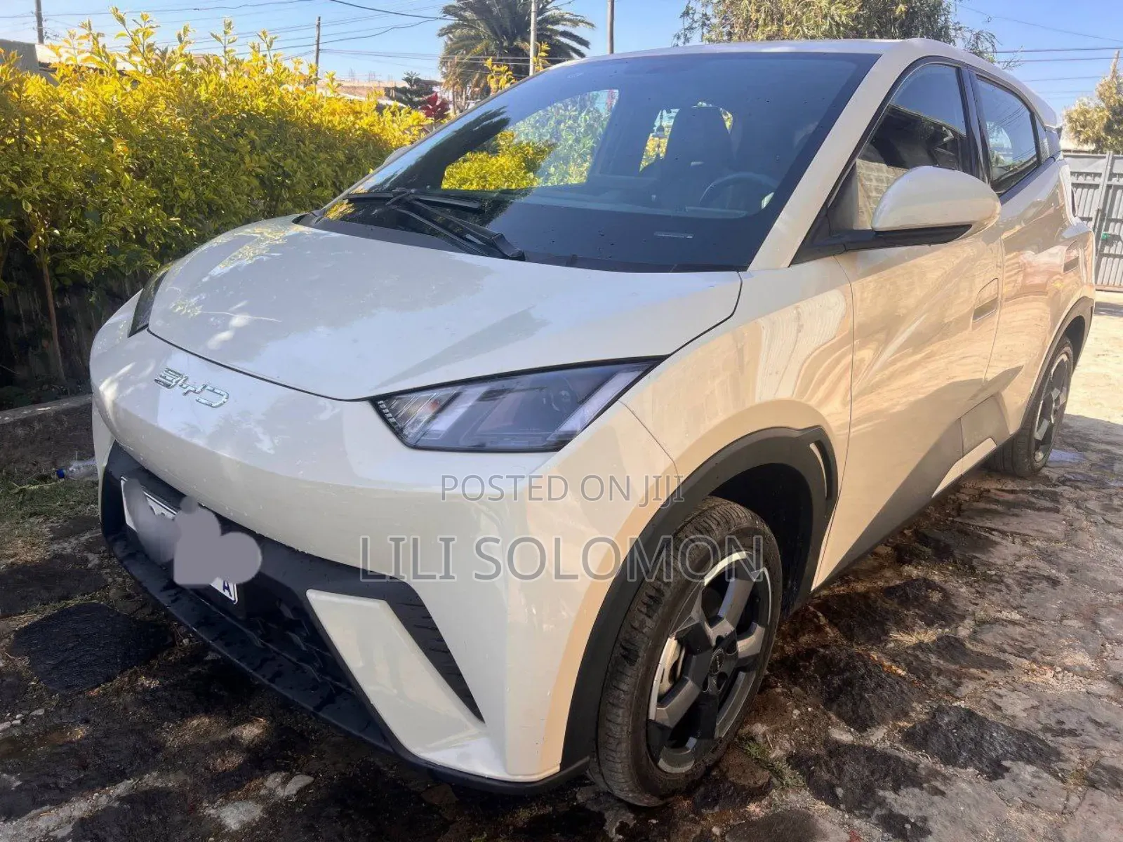 BYD Seagull 2024 White in Arada - Cars, Lili Solomon | Jiji.com.et