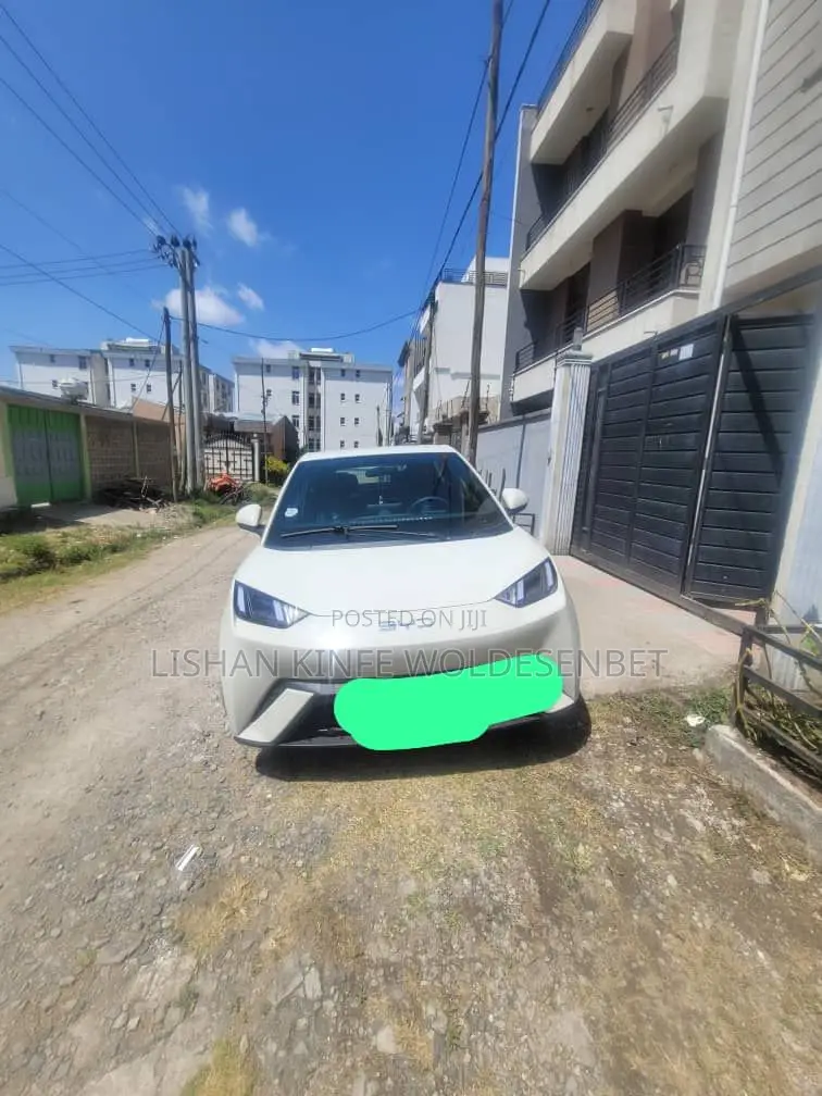 BYD Seagull 2025 Ivory in Arada - Cars, Lishan Kinfe Woldesenbet | Jiji ...