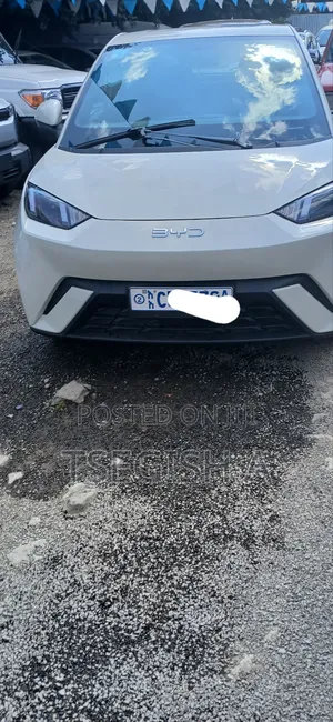 Used BYD Seagull Cars in Ethiopia for sale Price on Jiji.com.et